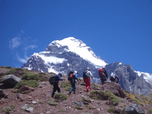 Aconcagua | Pinguipedia Wiki | Fandom