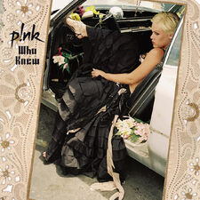 Disconnected | P!nk Wiki | Fandom