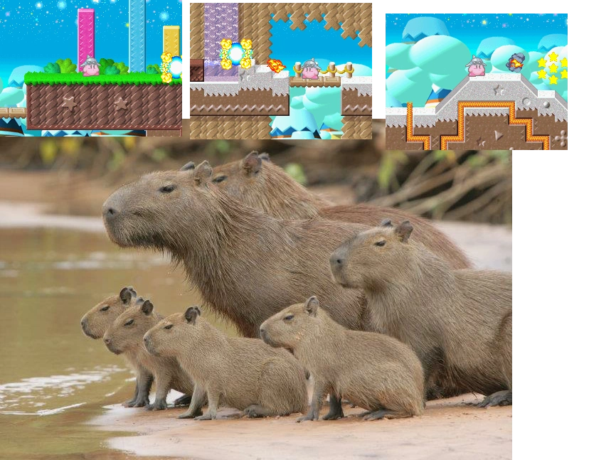 Capybara | Pink Ancient Momomiya Wiki | Fandom