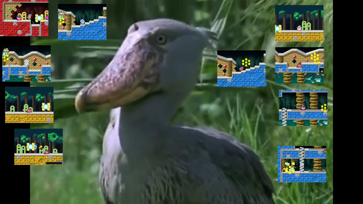 Shoebill | Pink Ancient Momomiya Wiki | Fandom