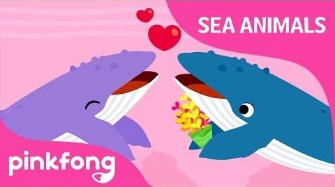 Singer Whale | PINKFONG Wiki | Fandom