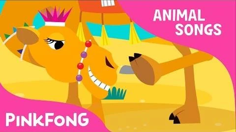Humpy Lumpy Camel | PINKFONG Wiki | Fandom