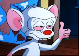 Romy (Personaje) | Pinky y cerebro Wiki | Fandom