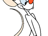 Category:Characters | Pinky and the Brain Wiki | Fandom