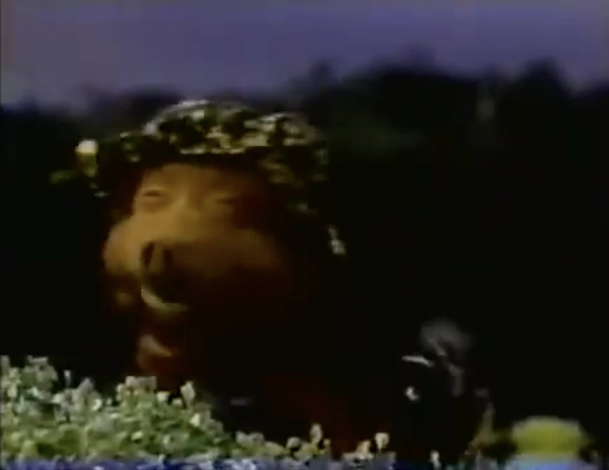 Molly McMole | Pinwheel Wiki | Fandom