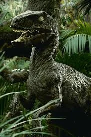 Raptory | Pio Wiki | Fandom