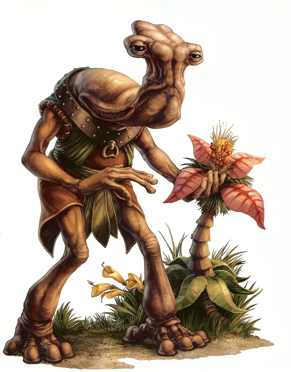 Fubu | Star Wars Roleplaying Game Wiki | Fandom
