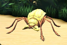 Sun Scarab | Pirate101 Wiki | Fandom