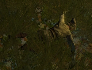 Spucki | Piraten Wiki | Fandom