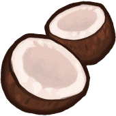 Coconut | Pirate Power Wikia | Fandom