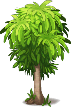 Narra Tree Clipart