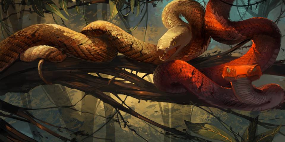 Snake | Pirates of the Caribbean Wiki | Fandom