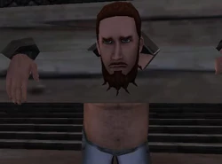 Stockade | Pirates of the Caribbean Wiki | Fandom