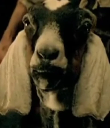 Nigel's goat | Pirates of the Caribbean Wiki | Fandom