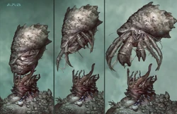 Hadras | Pirates of the Caribbean Wiki | Fandom