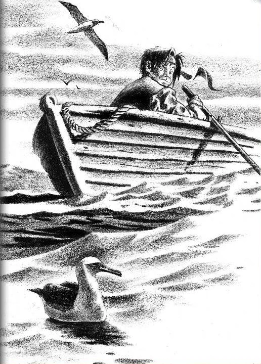 Seagull | Pirates of the Caribbean Wiki | Fandom