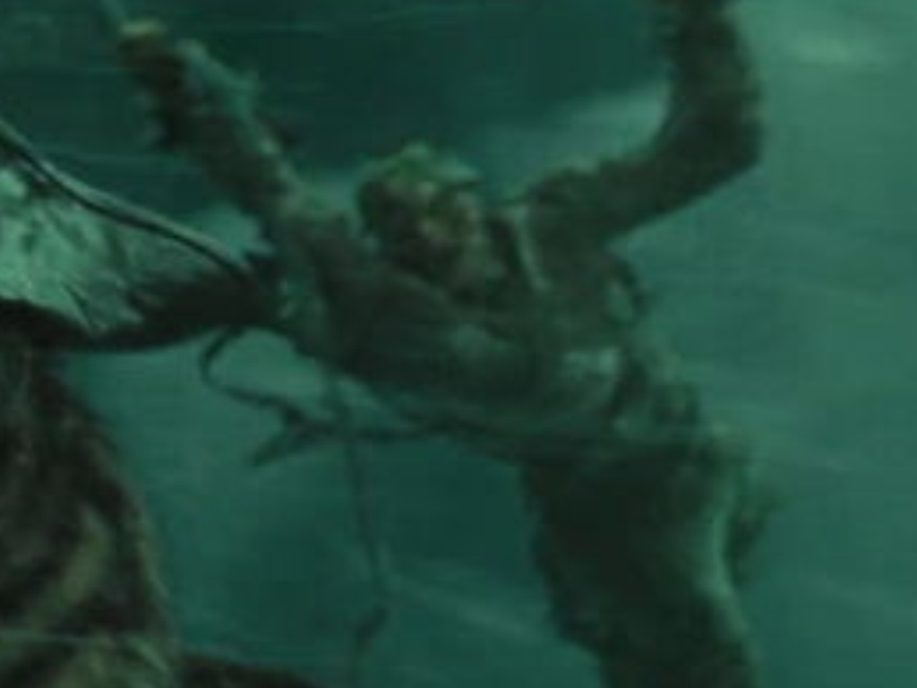 Fauntleroy | Pirates of the Caribbean Wiki | Fandom