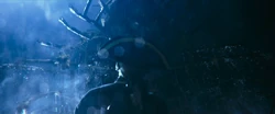 John Scarfield | Pirates of the Caribbean Wiki | Fandom