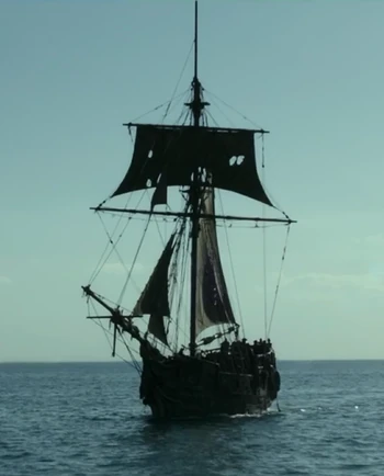 Dying Gull | Pirates of the Caribbean Wiki | Fandom
