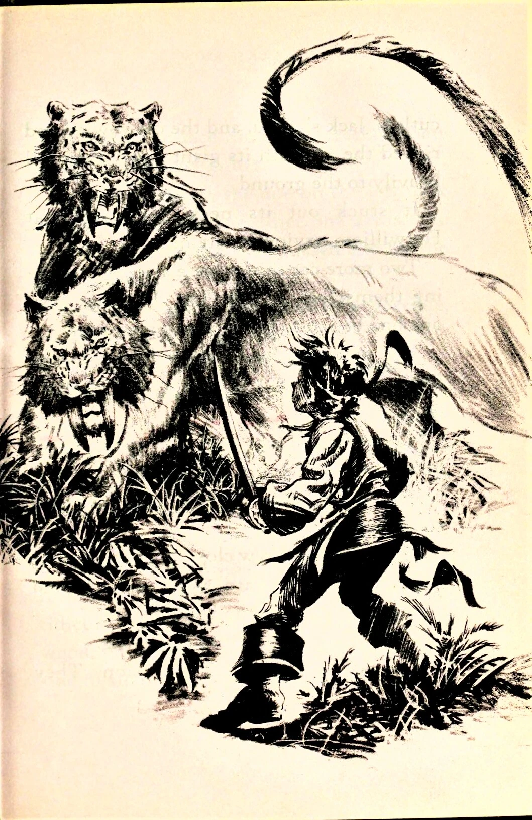 Sabertooth tiger | Pirates of the Caribbean Wiki | Fandom