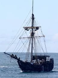 Dying Gull | Wiki Pirates des caraibes | Fandom