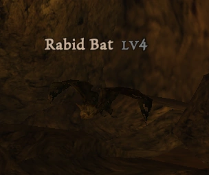 Rabid Bat | Pirates Online Wiki | Fandom