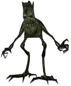 Twisted Stump | Pirates Online Wiki | Fandom