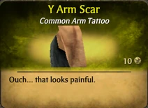 Y Arm Scar | Pirates Online Wiki | Fandom