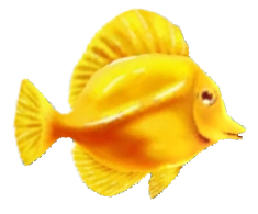 Golden Tang | Pirates Online Wiki | Fandom