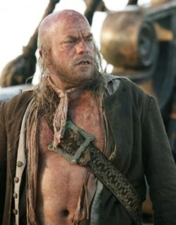 Pintel | Pirates Online Wiki | Fandom