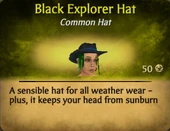 Explorer Hat | Pirates Online Wiki | Fandom