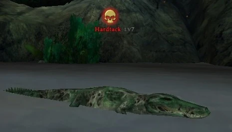 Hardtack | Pirates Online Wiki | Fandom
