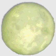 Curse of the Muertos Moon | Pirates Online Wiki | Fandom