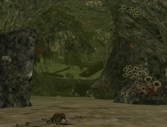 Forgotten Grotto | Pirates Online Wiki | Fandom