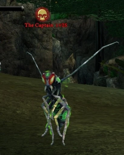 The Captain | Pirates Online Wiki | Fandom