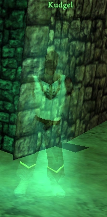 Kudgel | Pirates Online Wiki | Fandom