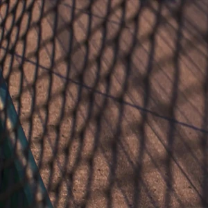 Discuss Everything About Piston Cup Wiki | Fandom