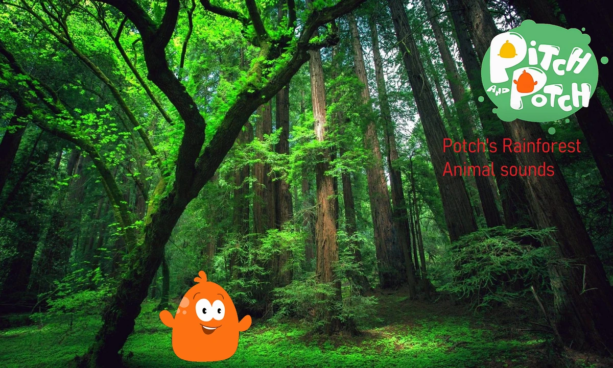 Potch's Rainforest Animal sounds | Pitch and Potch Wiki | Fandom