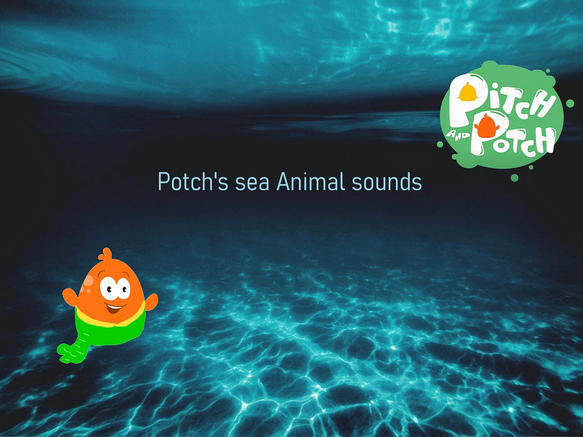 Potch's sea Animal sounds | Pitch and Potch Wiki | Fandom