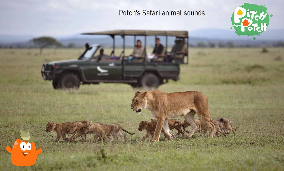 Potch's Safari animal sounds | Pitch and Potch Wiki | Fandom