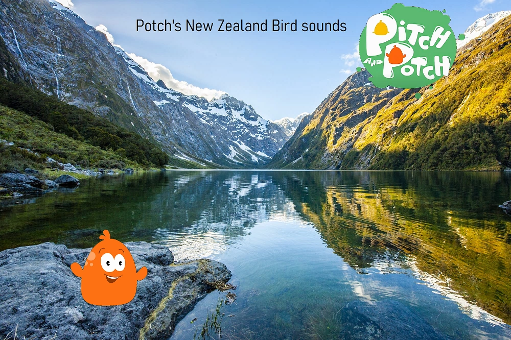 Potch's New Zealand Bird sounds | Pitch and Potch Wiki | Fandom