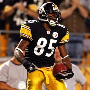 Nate Washington | Pittsburgh Steelers Wiki | Fandom