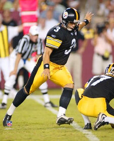 Jeff Reed | Pittsburgh Steelers Wiki | Fandom
