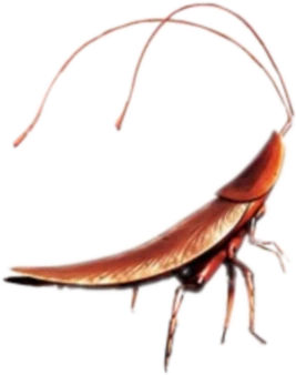 Hal | Pixar 2.0 Wiki | Fandom