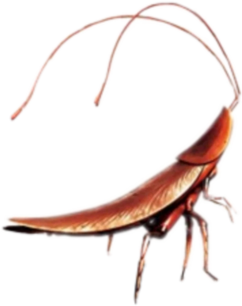 Hal | Pixar 2.0 Wiki | Fandom