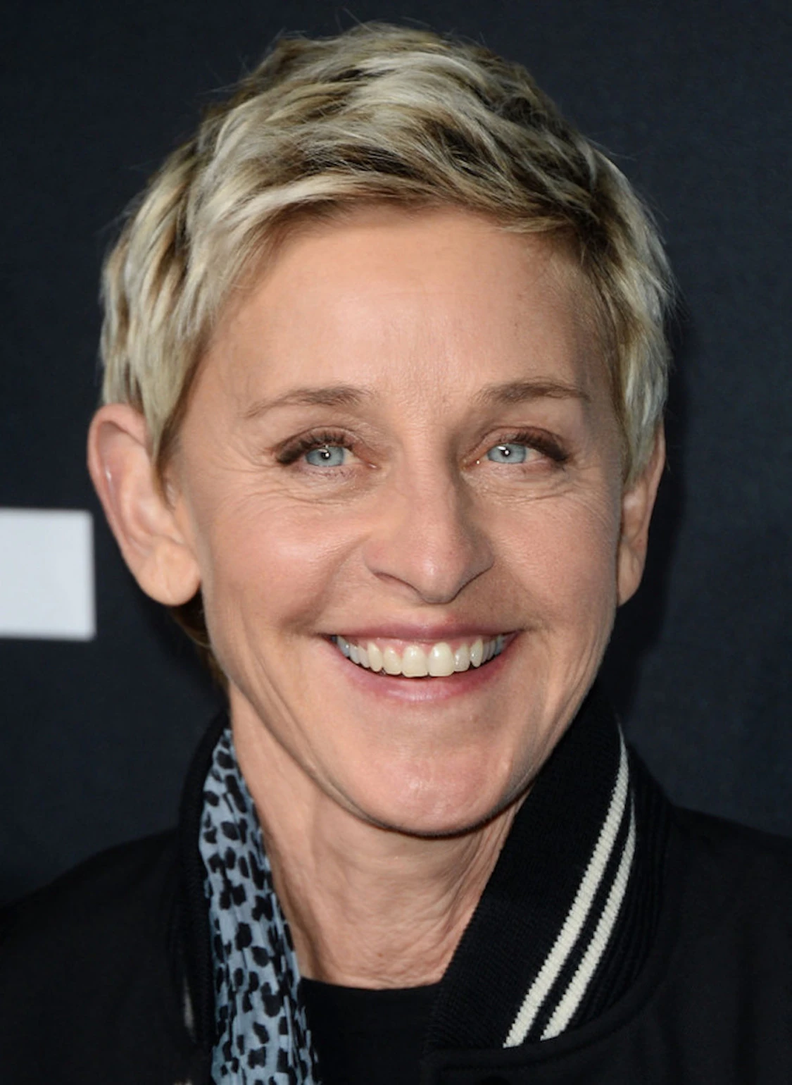 Ellen DeGeneres | Pixar 2.0 Wiki | Fandom