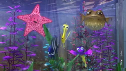 Peach Finding Nemo Tank Is Clean