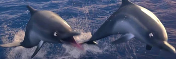 Dolphins | Pixar Wiki | Fandom