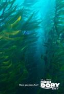 Finding Dory | Pixar Wiki | Fandom