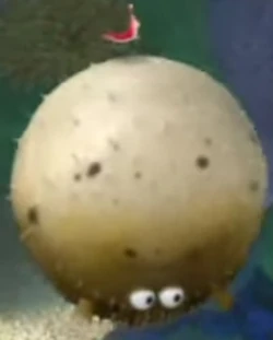 finding nemo bloat inflation